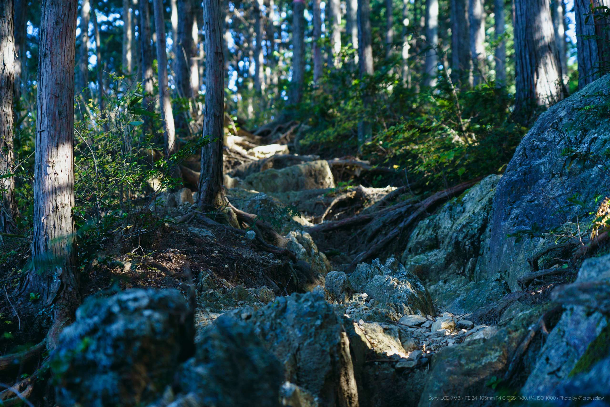 【奥武蔵】関八州見晴台：高山不動尊の大銀杏を仰ぐ | CROW'SCLAW