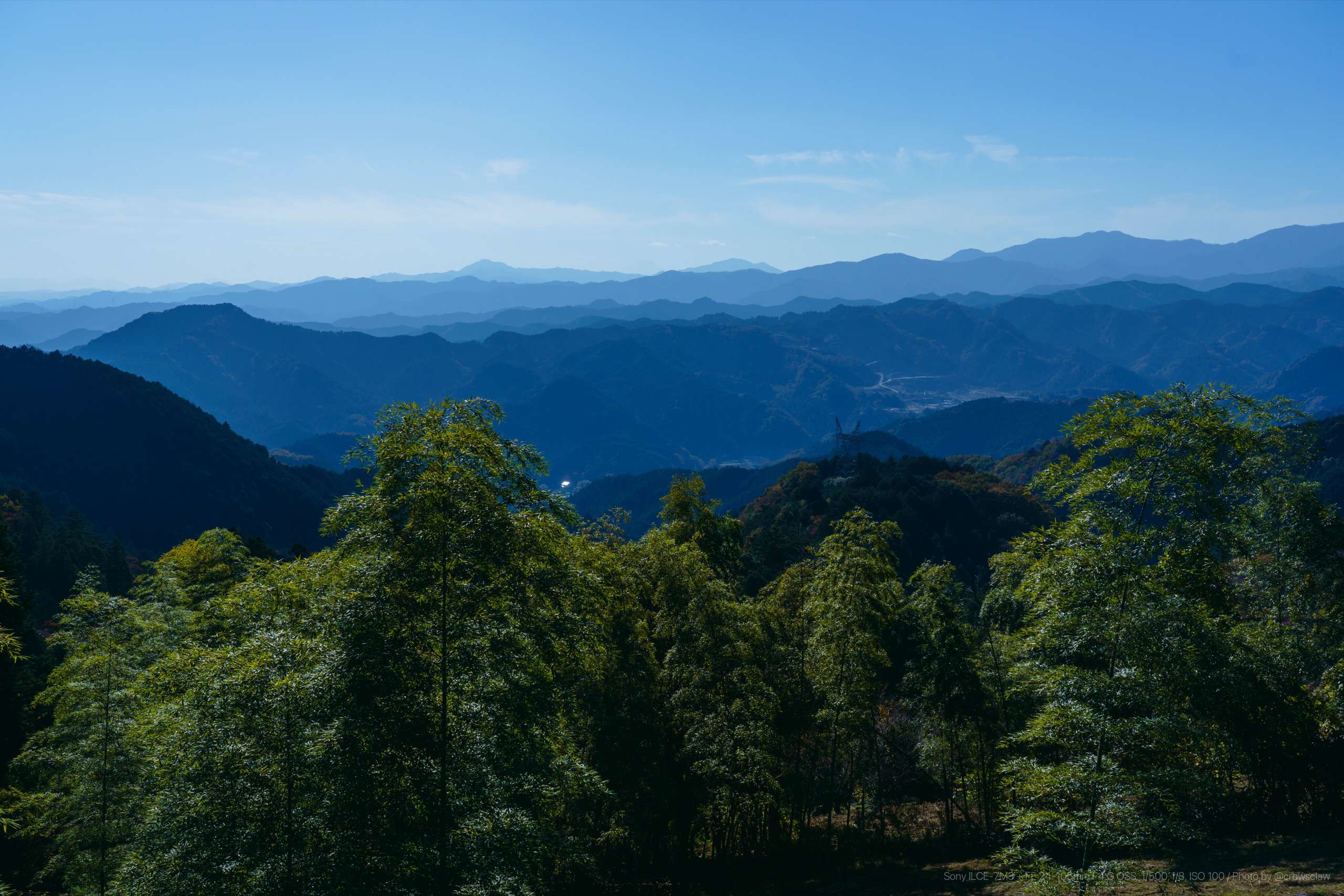 【奥武蔵】関八州見晴台：高山不動尊の大銀杏を仰ぐ | CROW'SCLAW